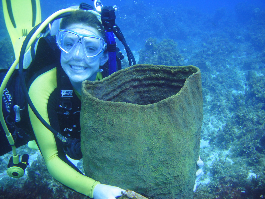 Amber D. Stubler Assistant Professor – Stubler Lab